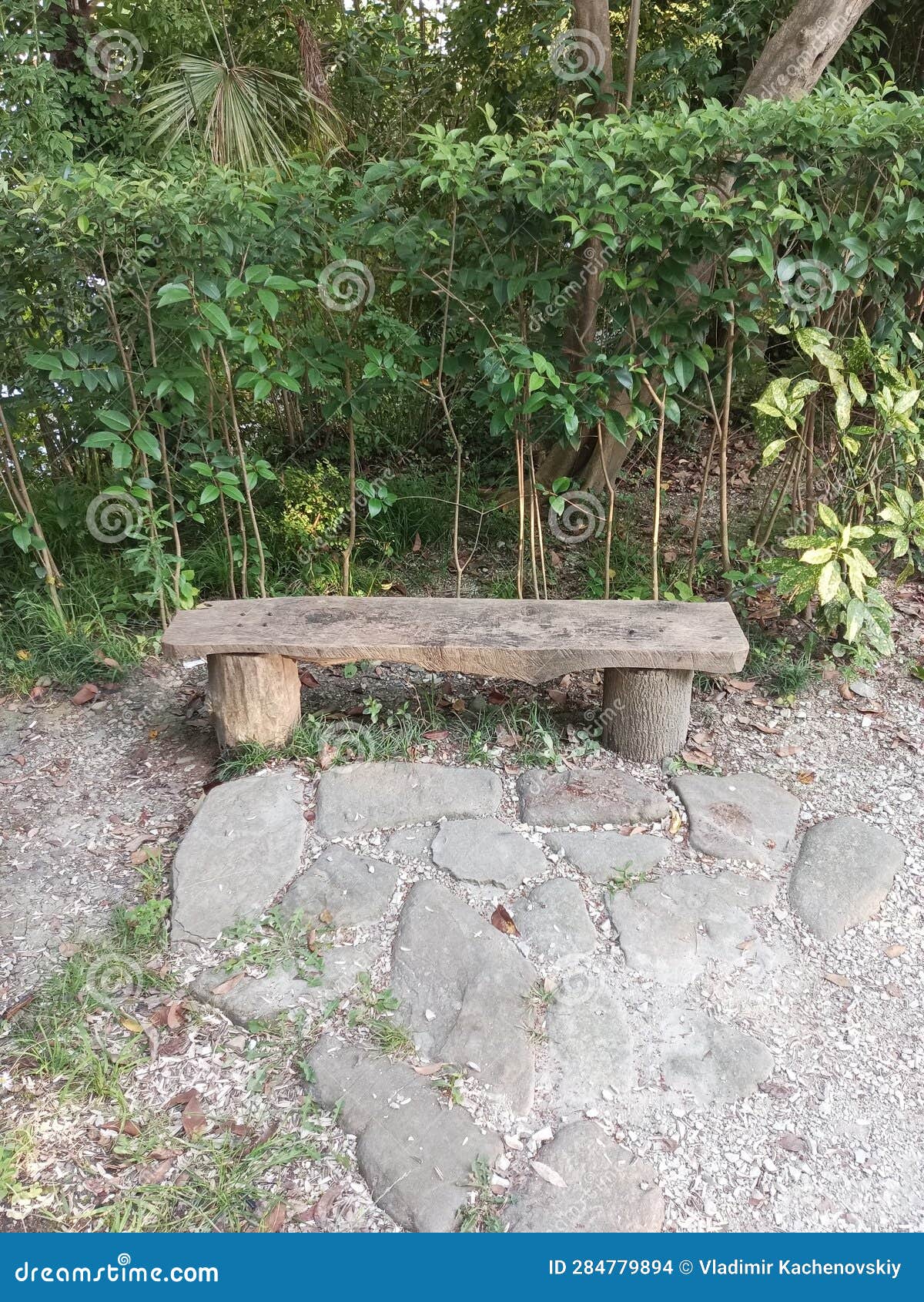 Log bench stock photo. Image of tree, rock, woodland - 284779894
