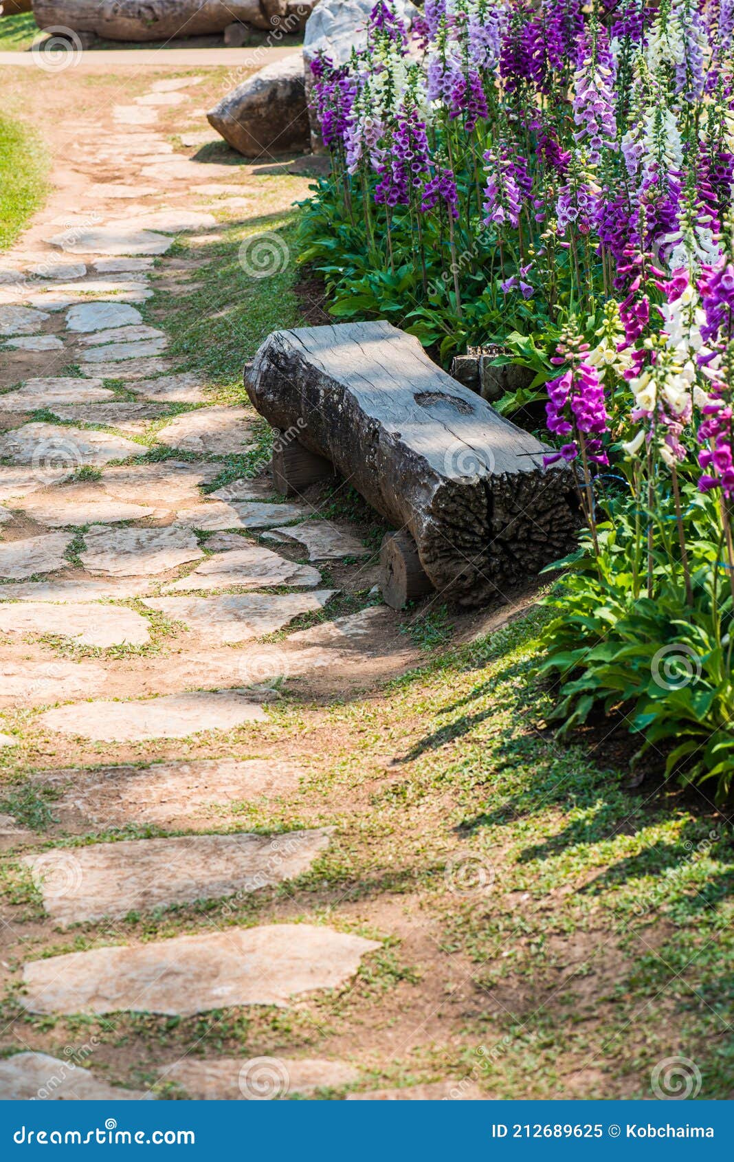 Log bench in park stock image. Image of forest, beauty - 212689625