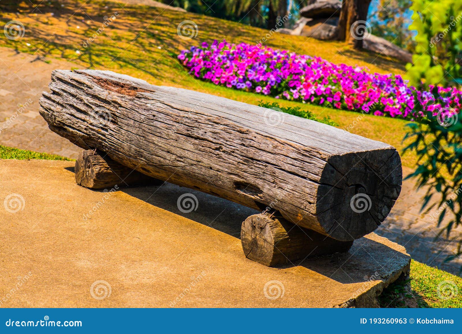 Log bench in park stock image. Image of beauty, plant - 193260963