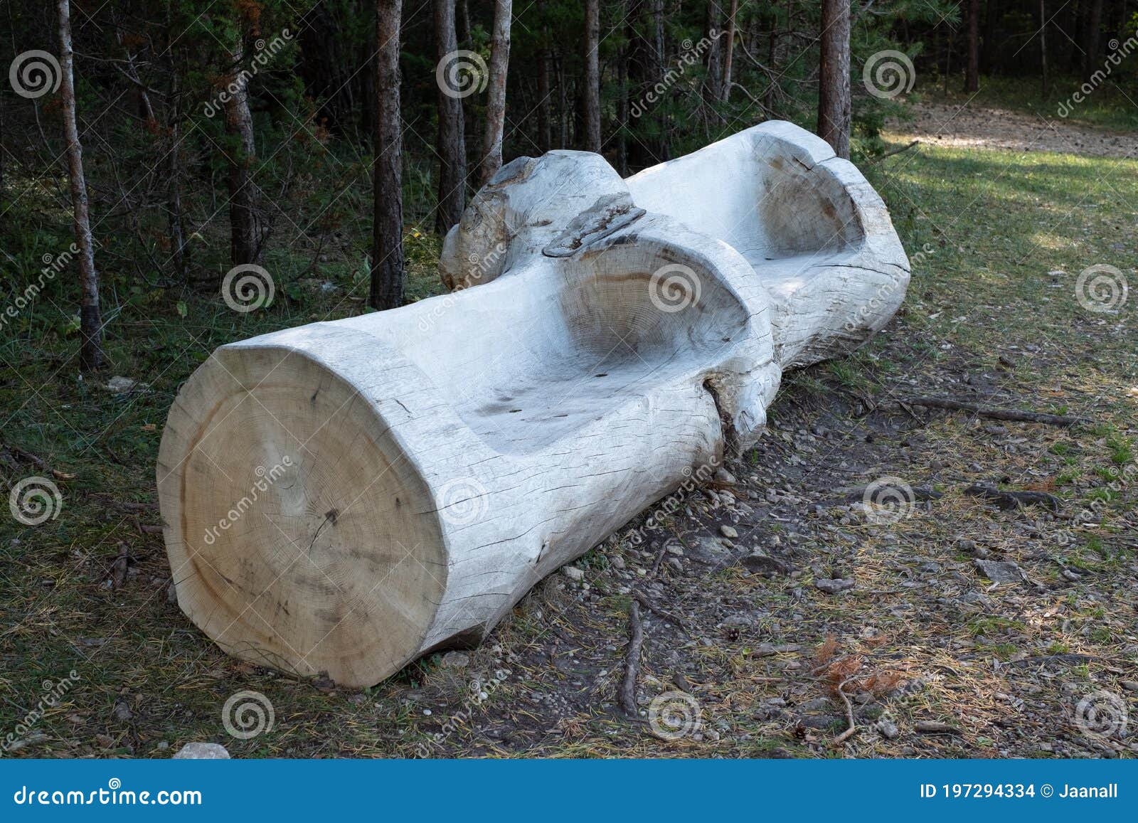 Log bench stock photo. Image of chair, seats, wood, seat - 197294334