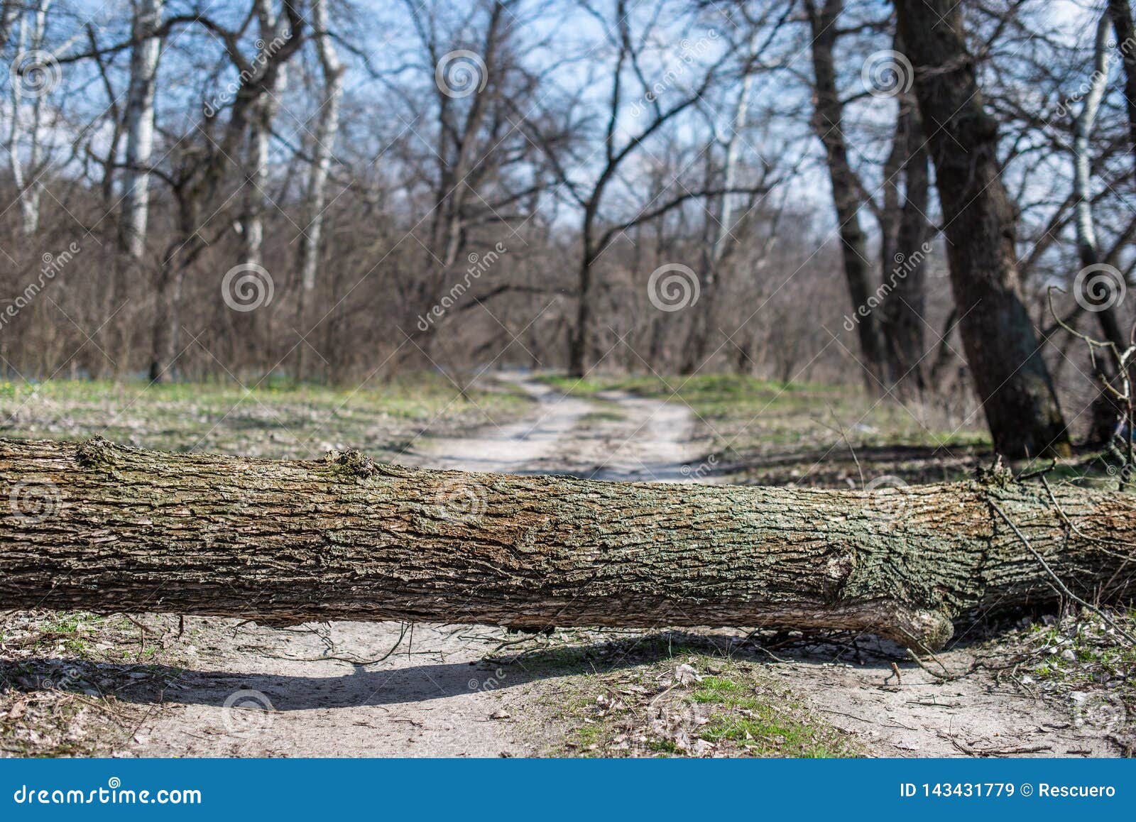 Wrong Way Concept. the Log Blocks the Forest Road Stock Image - Image ...