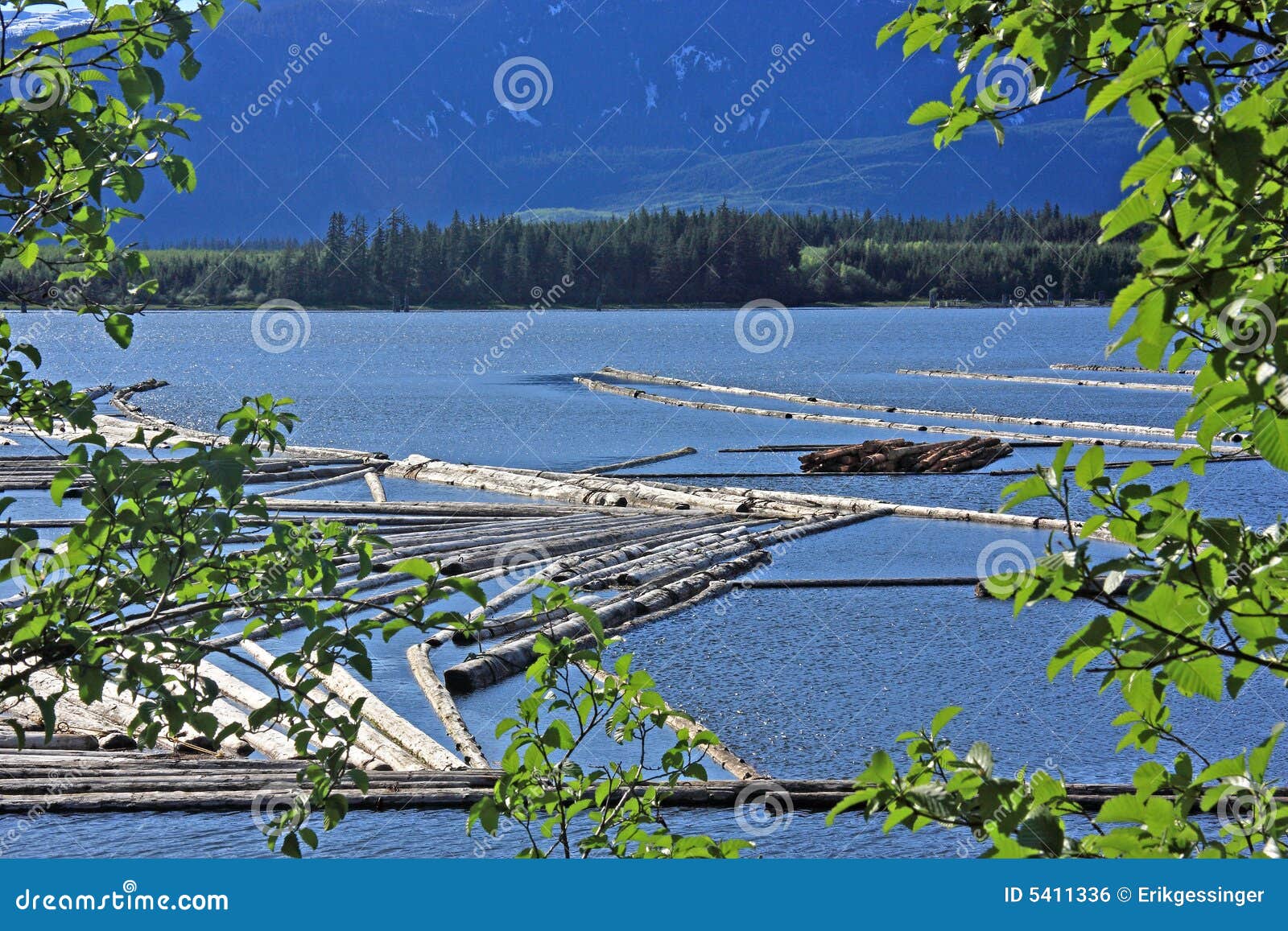 Log boom stock photo. Image of snow, logging, british - 5411336