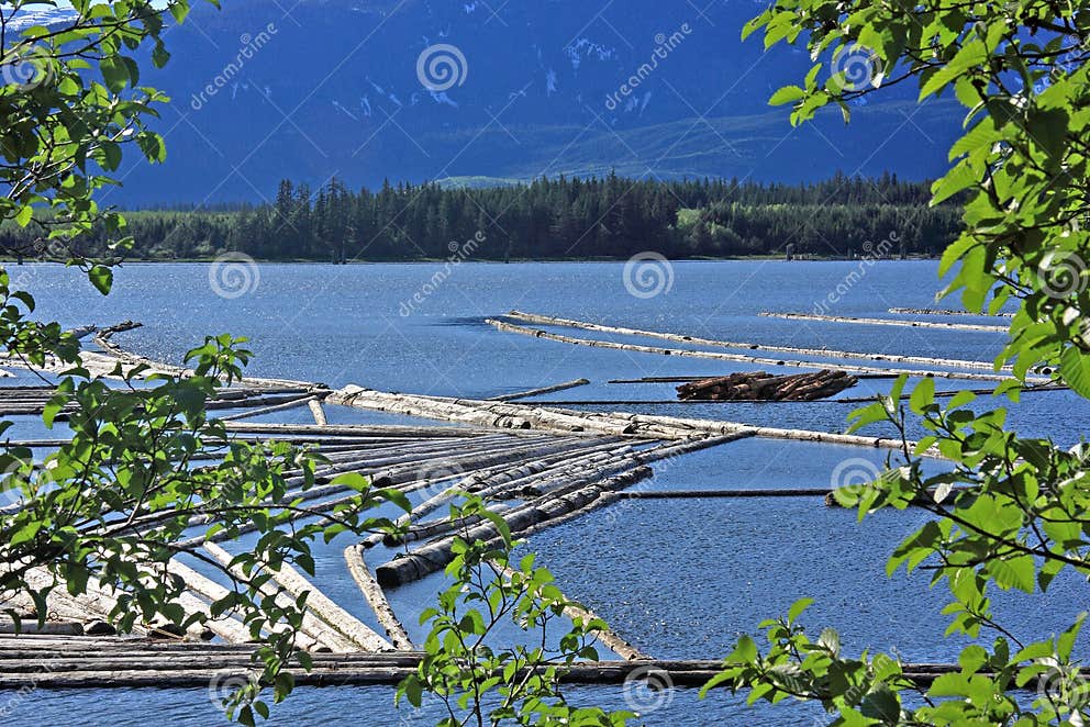 Log boom stock photo. Image of snow, logging, british - 5411336