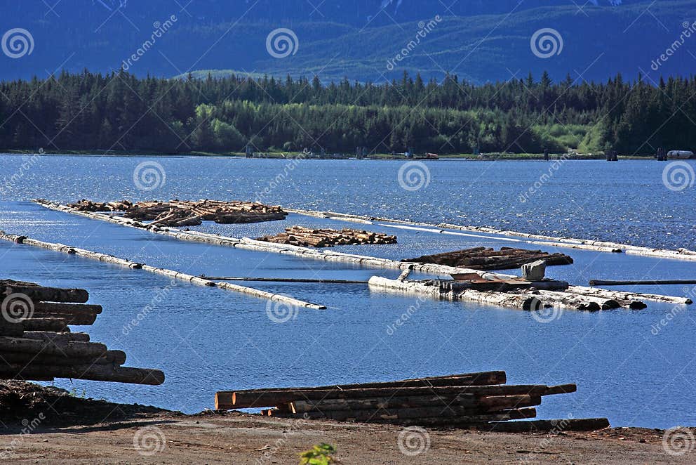 Log boom stock photo. Image of logging, industry, forestry - 5529164