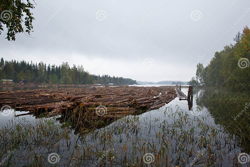 Log boom floating stock photo. Image of water, boom, logs - 60088244