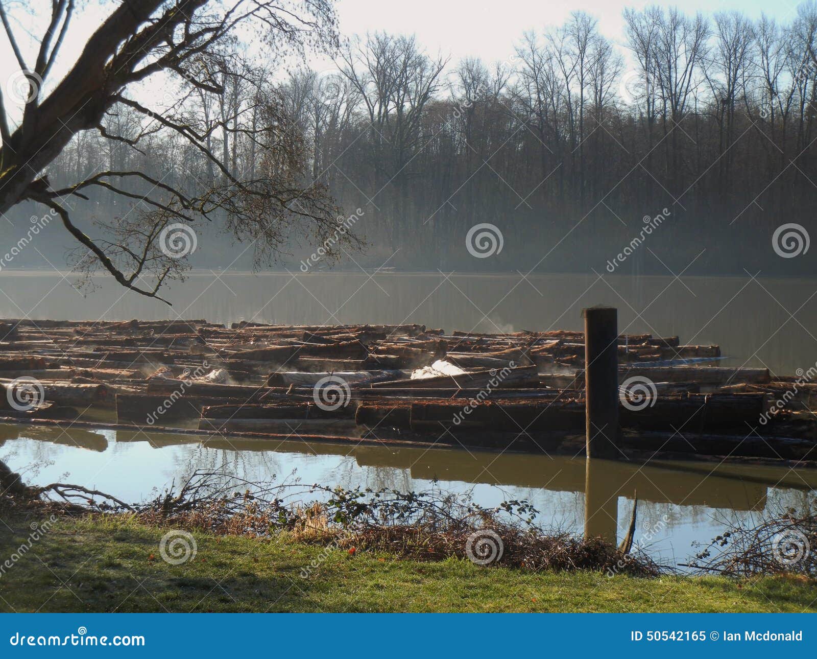 Log Boom stock image. Image of river, fraser, logging - 50542165