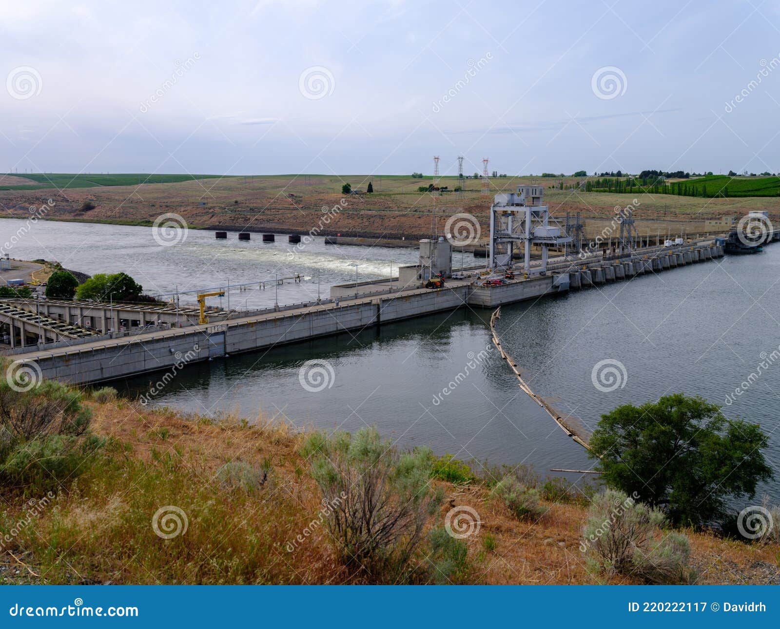 Log Boom at the Ice Harbor Dam, Washington, USA Stock Image - Image of ...