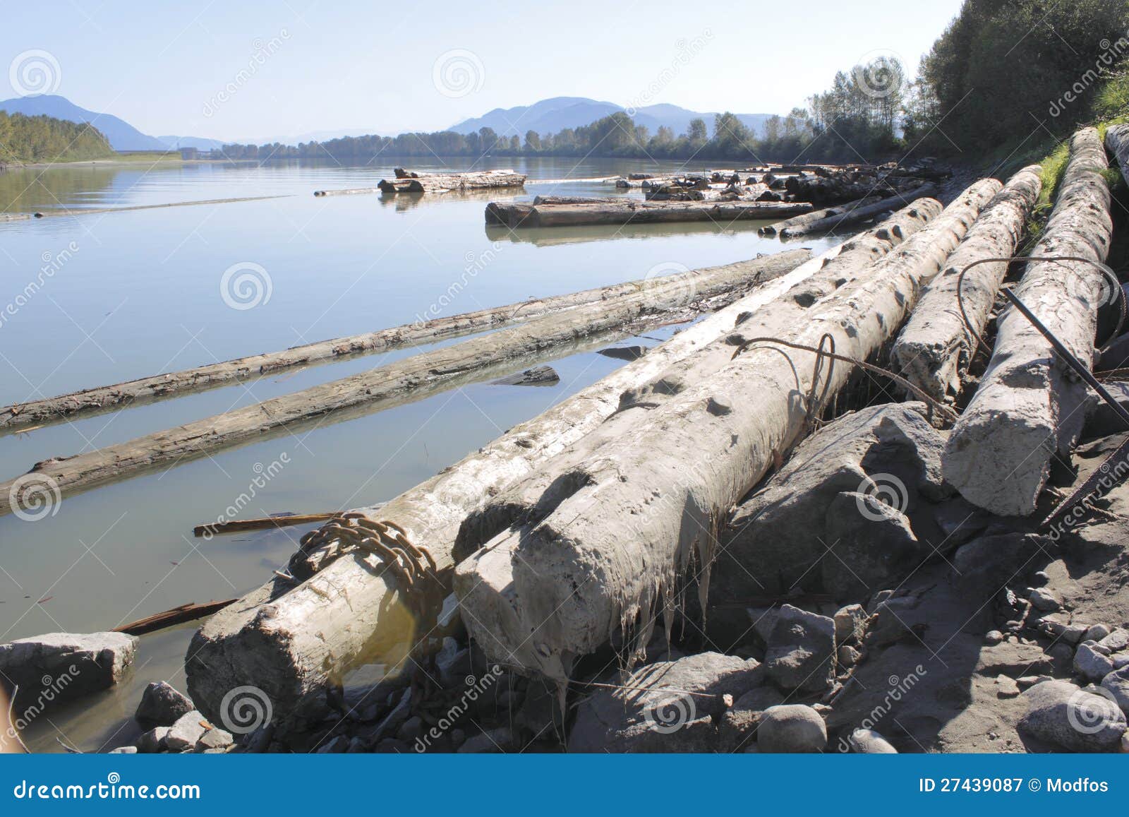 Log Boom and River stock image. Image of timber, boomer - 27439087