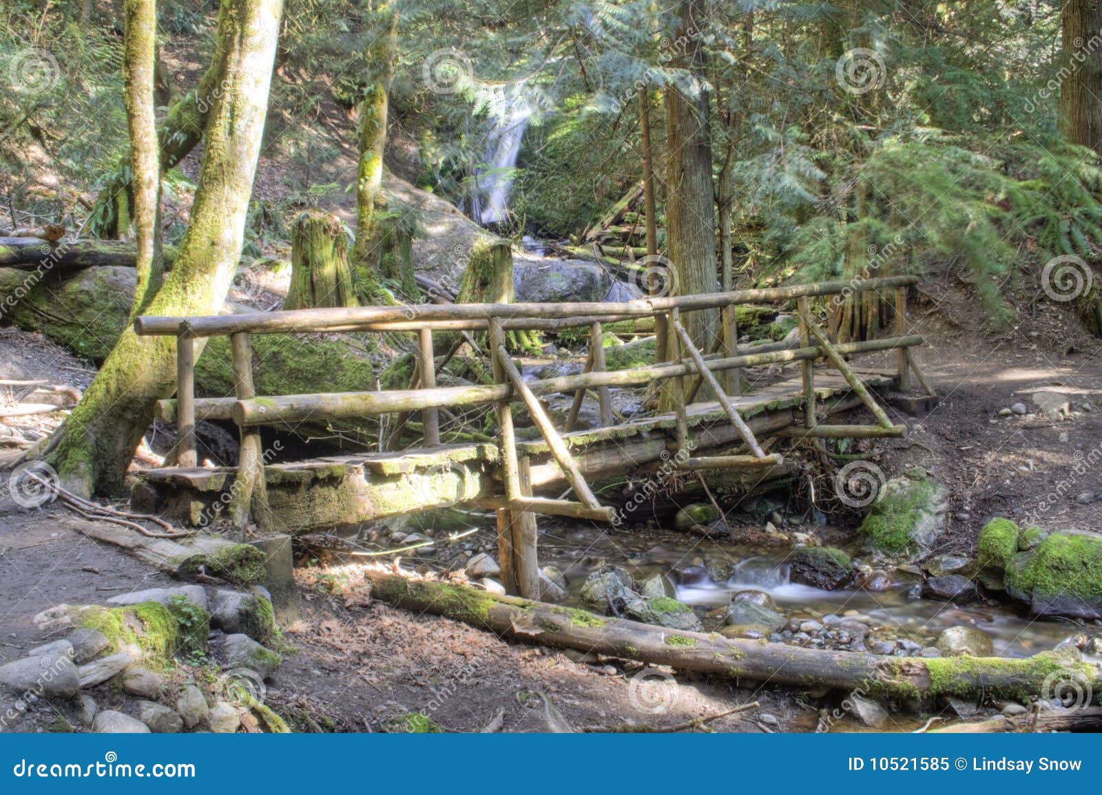 Log Bridge stock image. Image of cool, fresh, america - 10521585