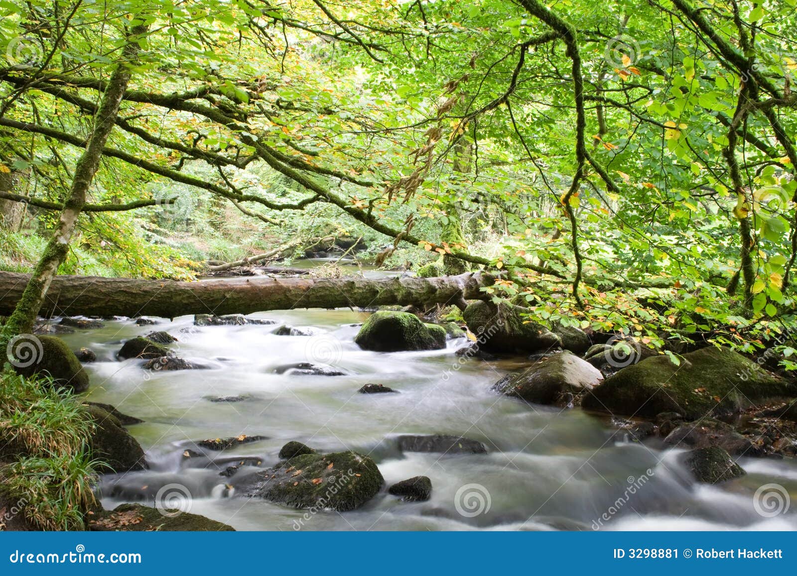Log bridge stock image. Image of bridge, grass, landscape - 3298881
