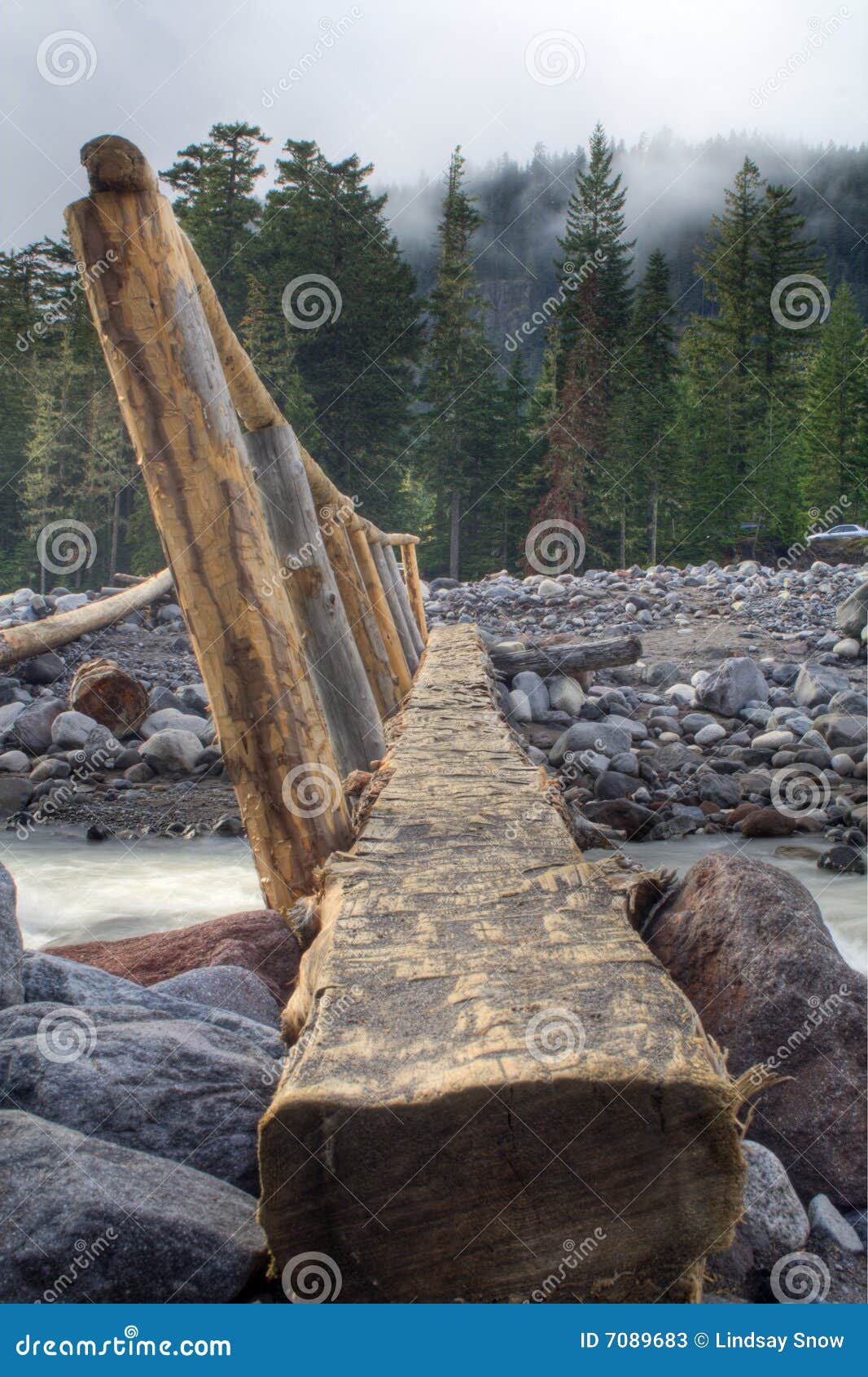 Log Bridge stock image. Image of bridge, trail, washington - 7089683