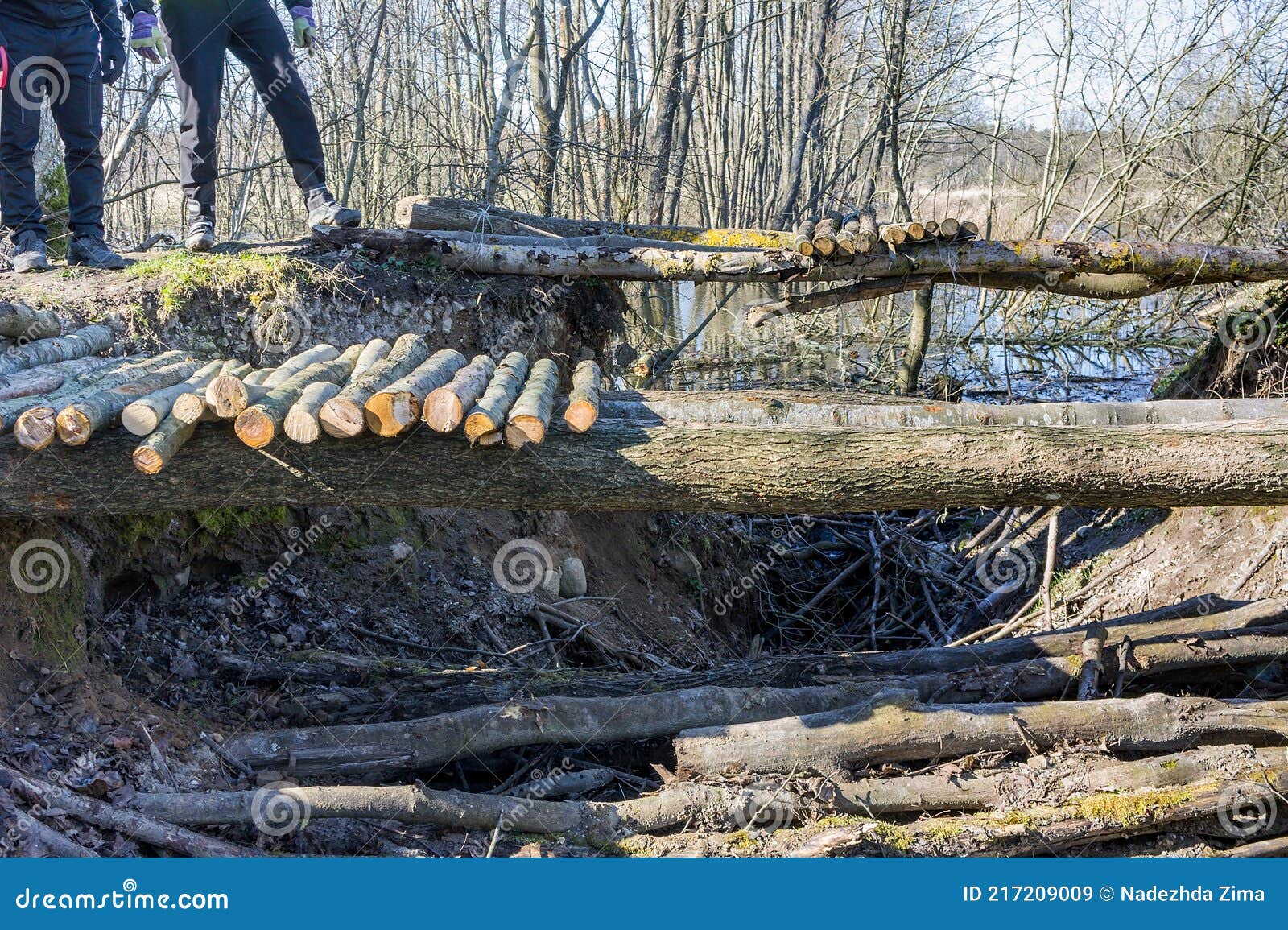 Log Bridge. Building a Bridge for Pedestrians. Bridge Over the Ditch ...
