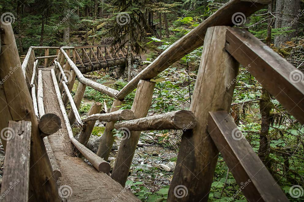 Log Bridge Over Deception Creek Editorial Stock Photo - Image of ...