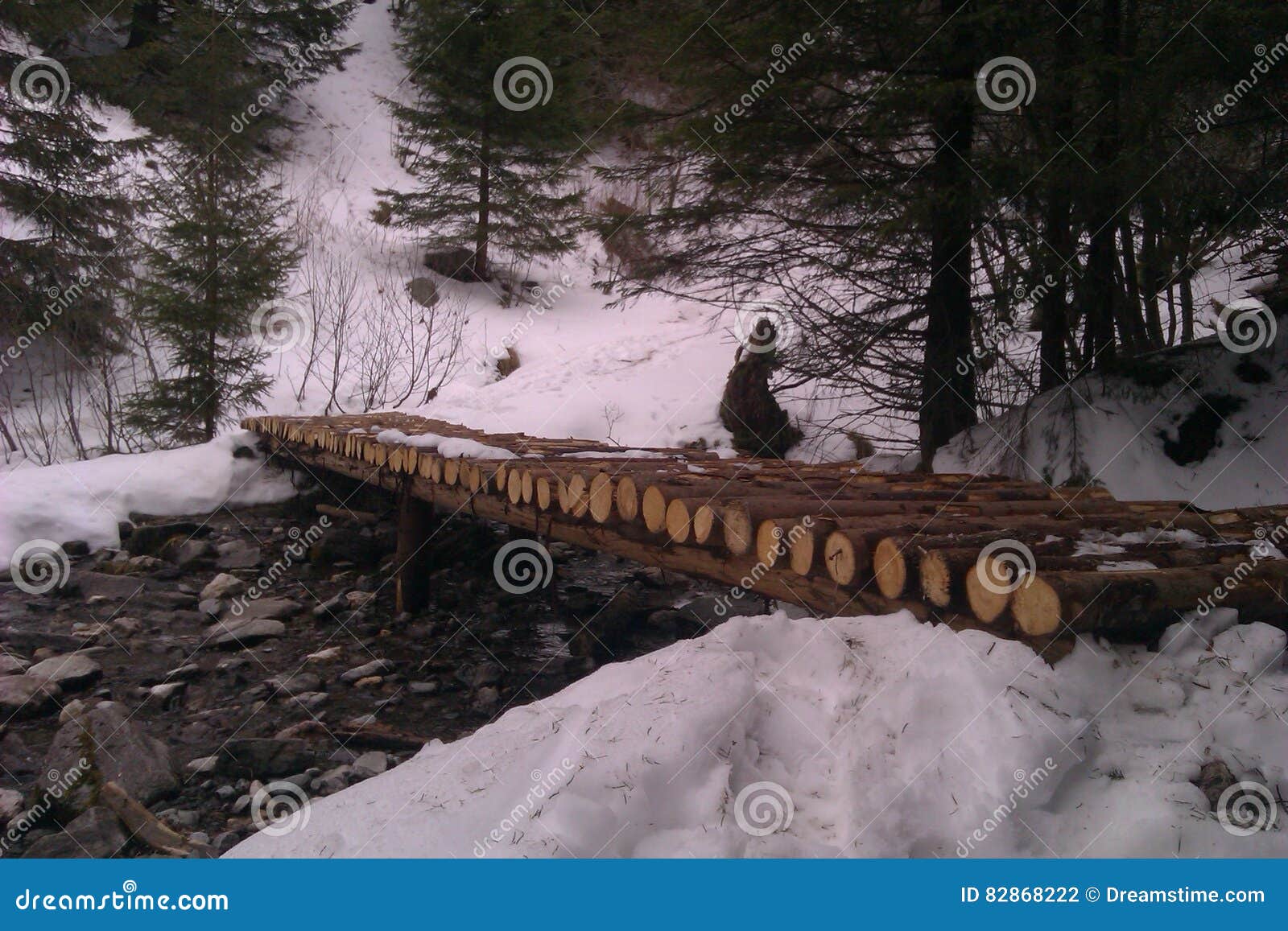 Log bridge over icy water stock photo. Image of snow - 82868222