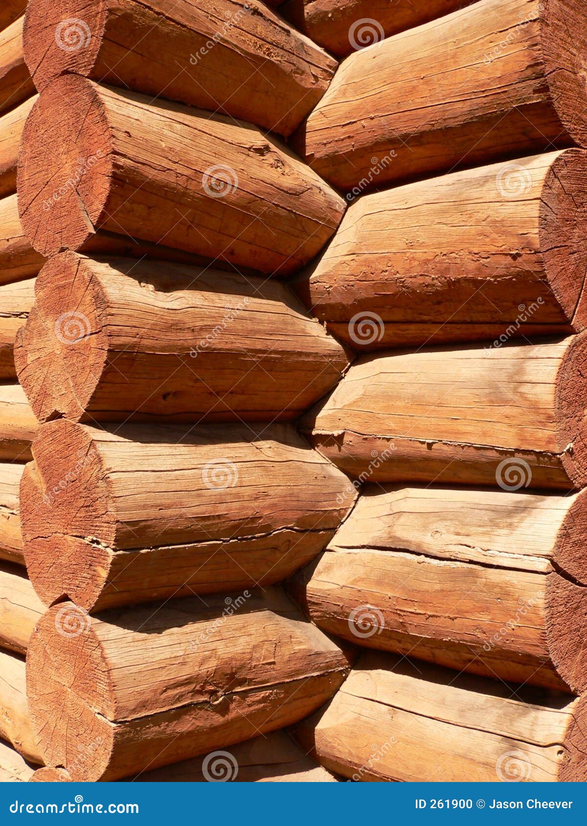 Log Building Detail stock photo. Image of tree, trunk, aged - 261900