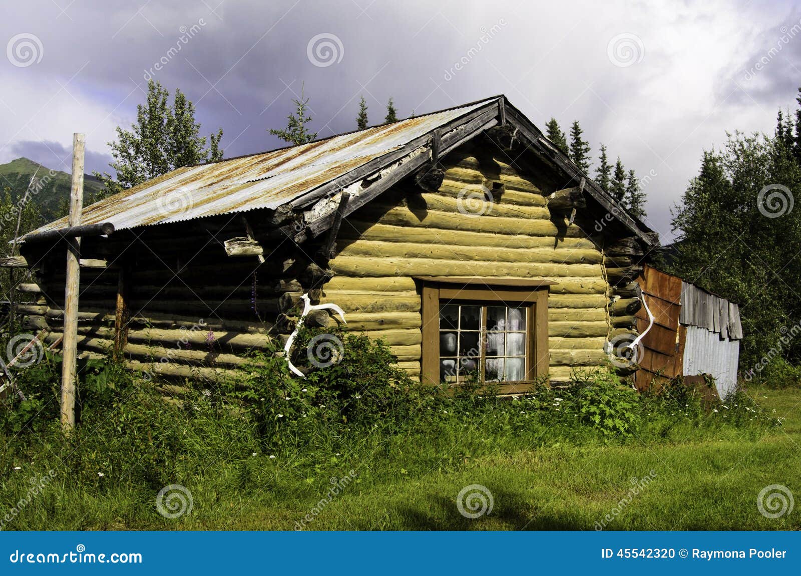 Log cabin Alaska stock photo. Image of wilderness, rugged - 45542320
