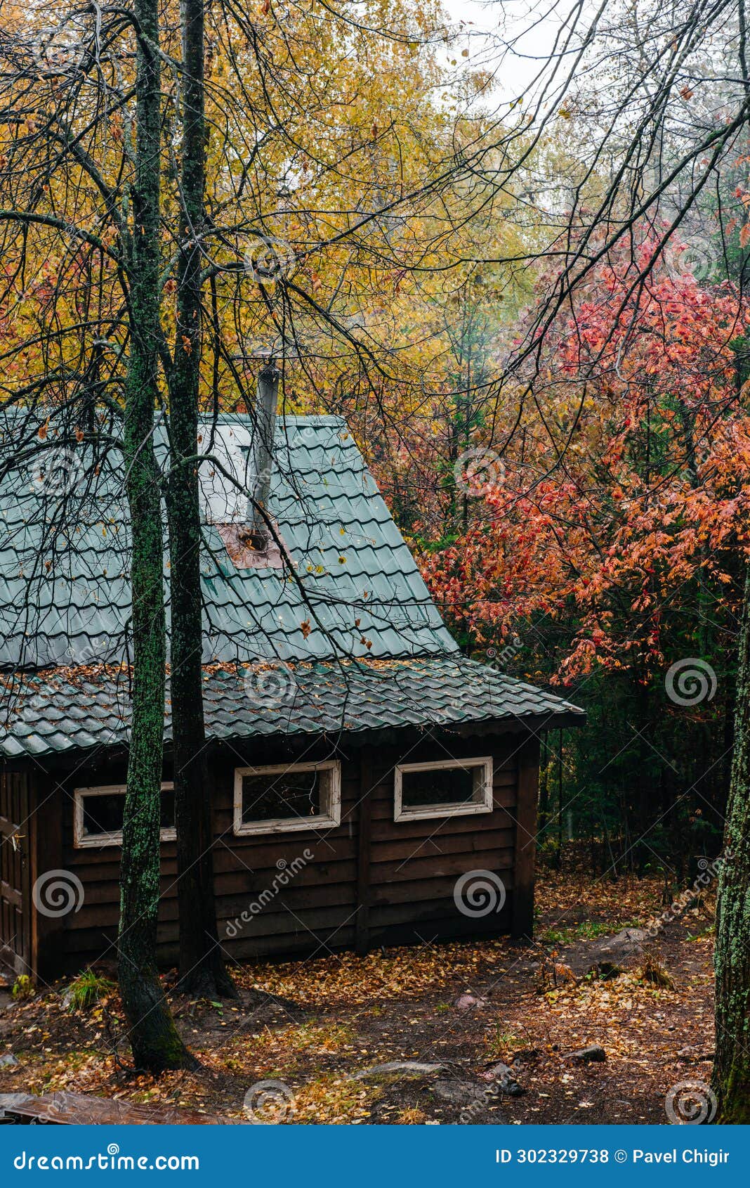 A Log Cabin in the Autumn Forest Stock Photo - Image of architecture ...