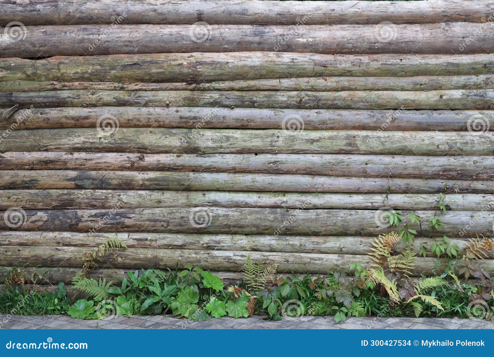 Log Cabin or Barn Unpainted Debarked Wall Textured Horizontal ...