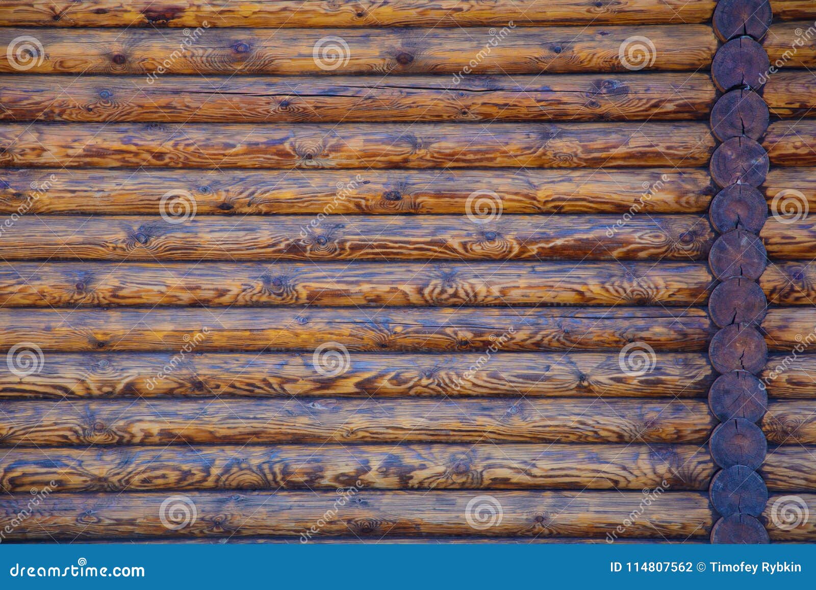 Log Cabin or Barn Unpainted Debarked Wall Textured Horizontal ...