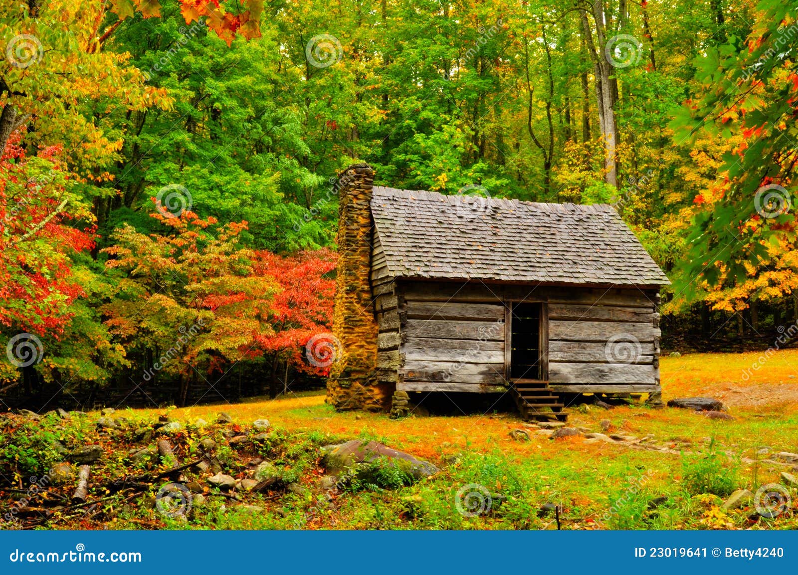 Cabin In Fall