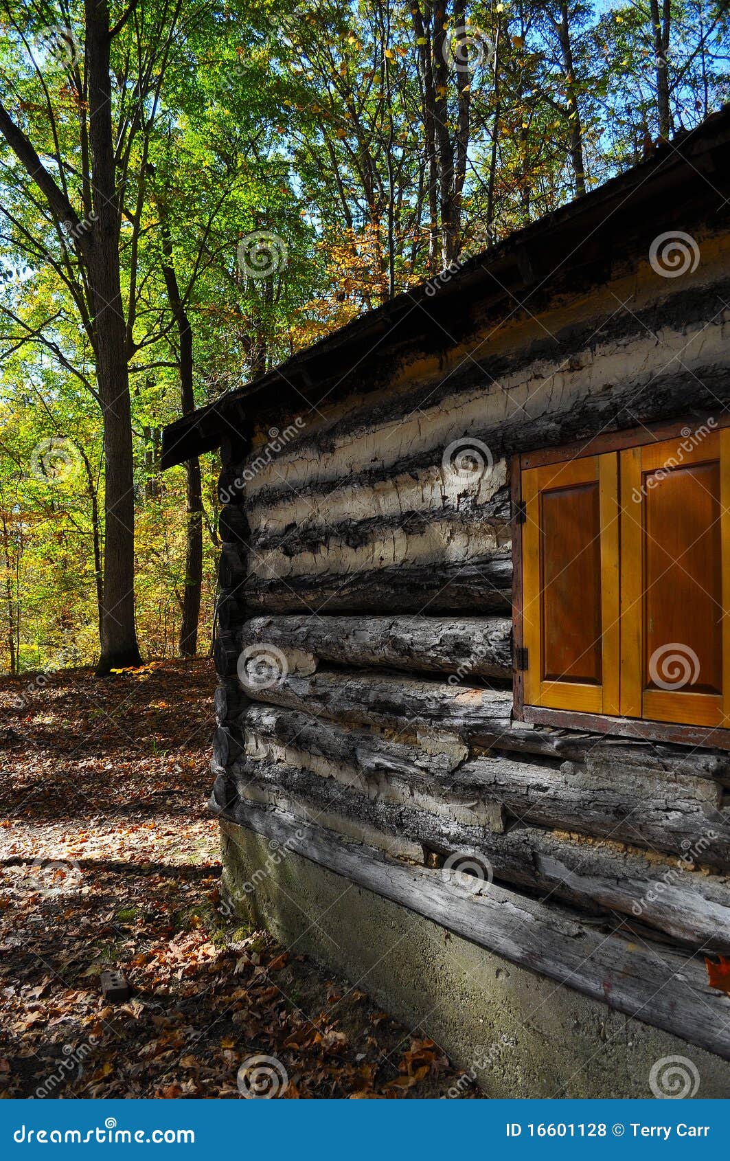 Log cabin in forest stock photo. Image of nature, remote - 16601128
