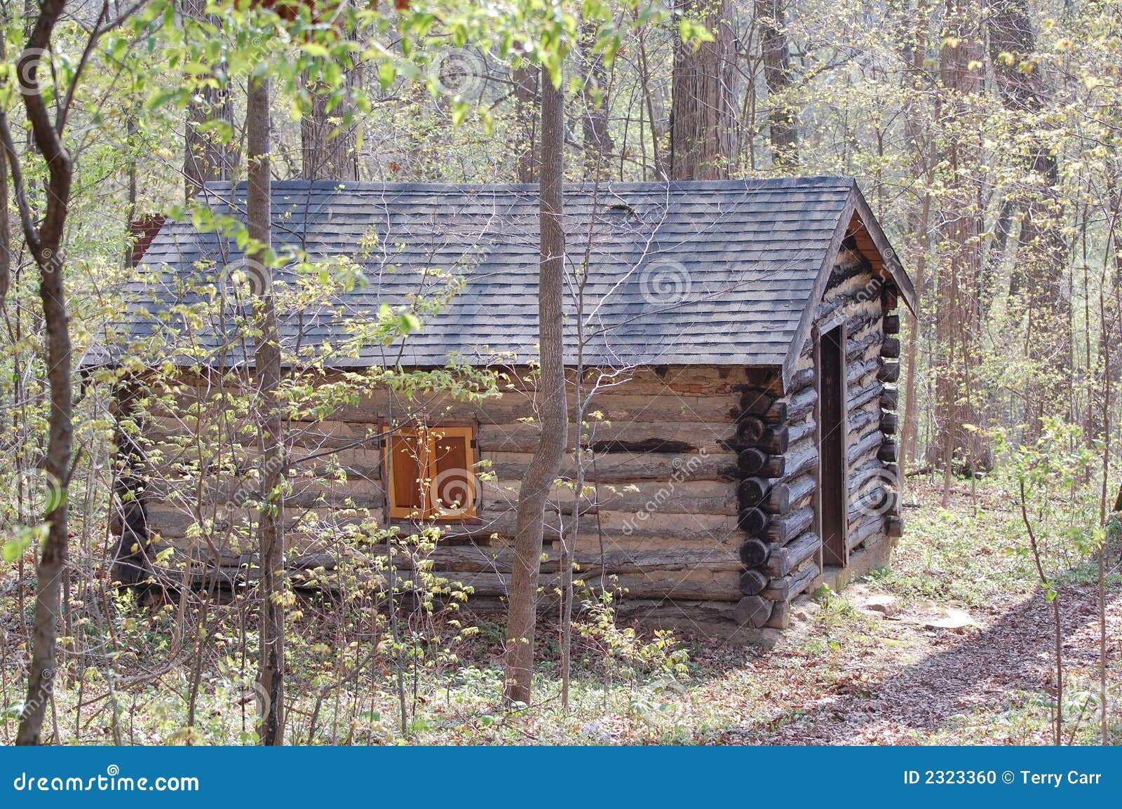 Log cabin in forest stock photo. Image of home, exterior - 2323360