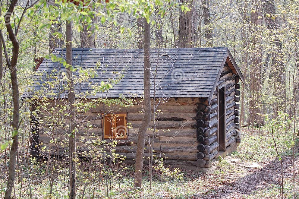 Log cabin in forest stock photo. Image of home, exterior - 2323360