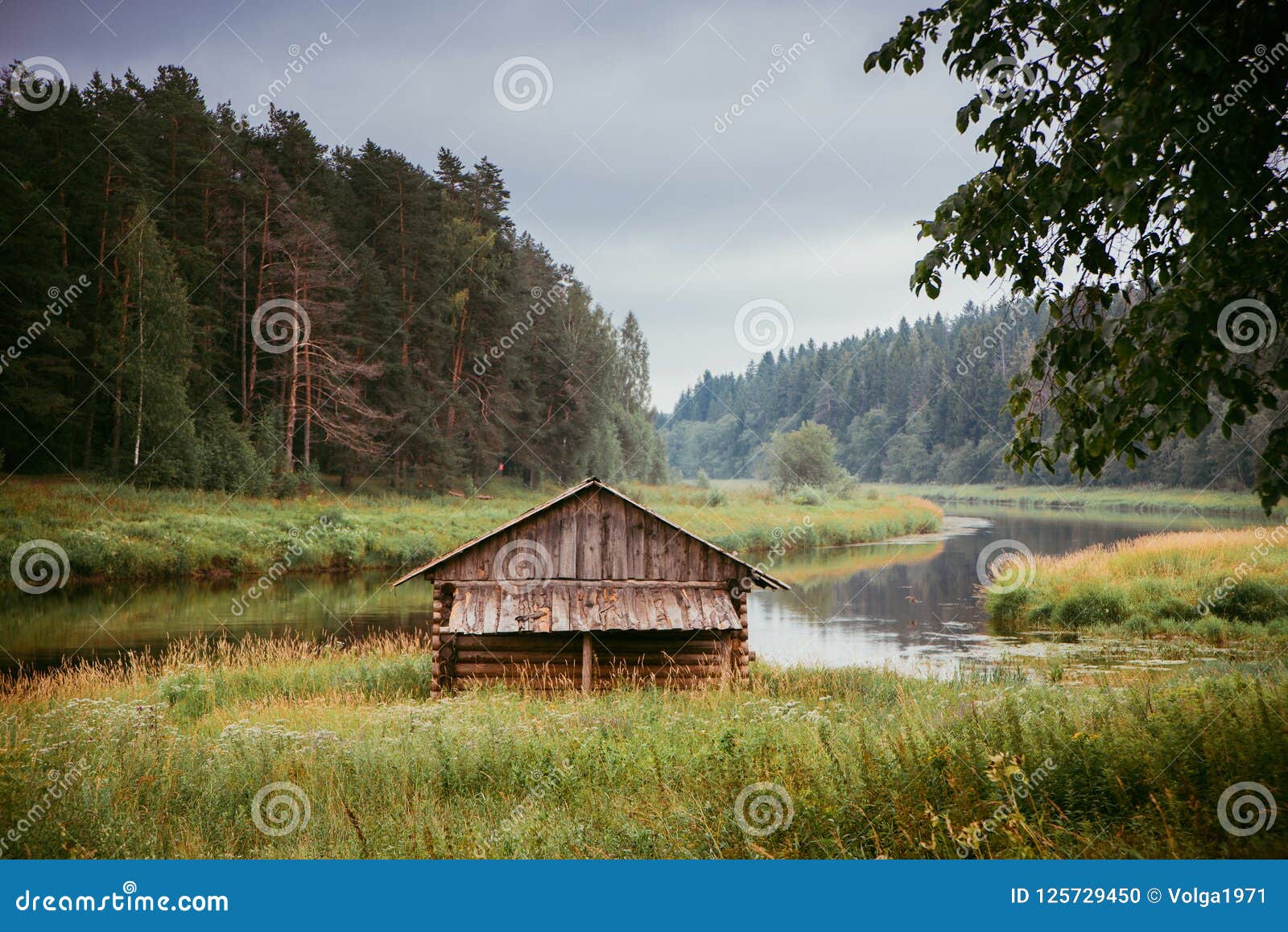 Log cabin in the forest stock photo. Image of cabin - 125729450