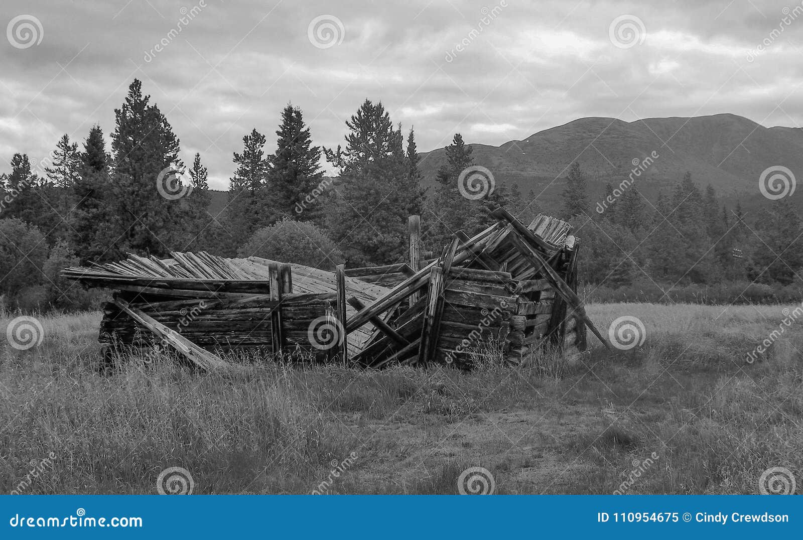 Log Cabin that Has Collapsed in Canada Stock Image - Image of outside ...