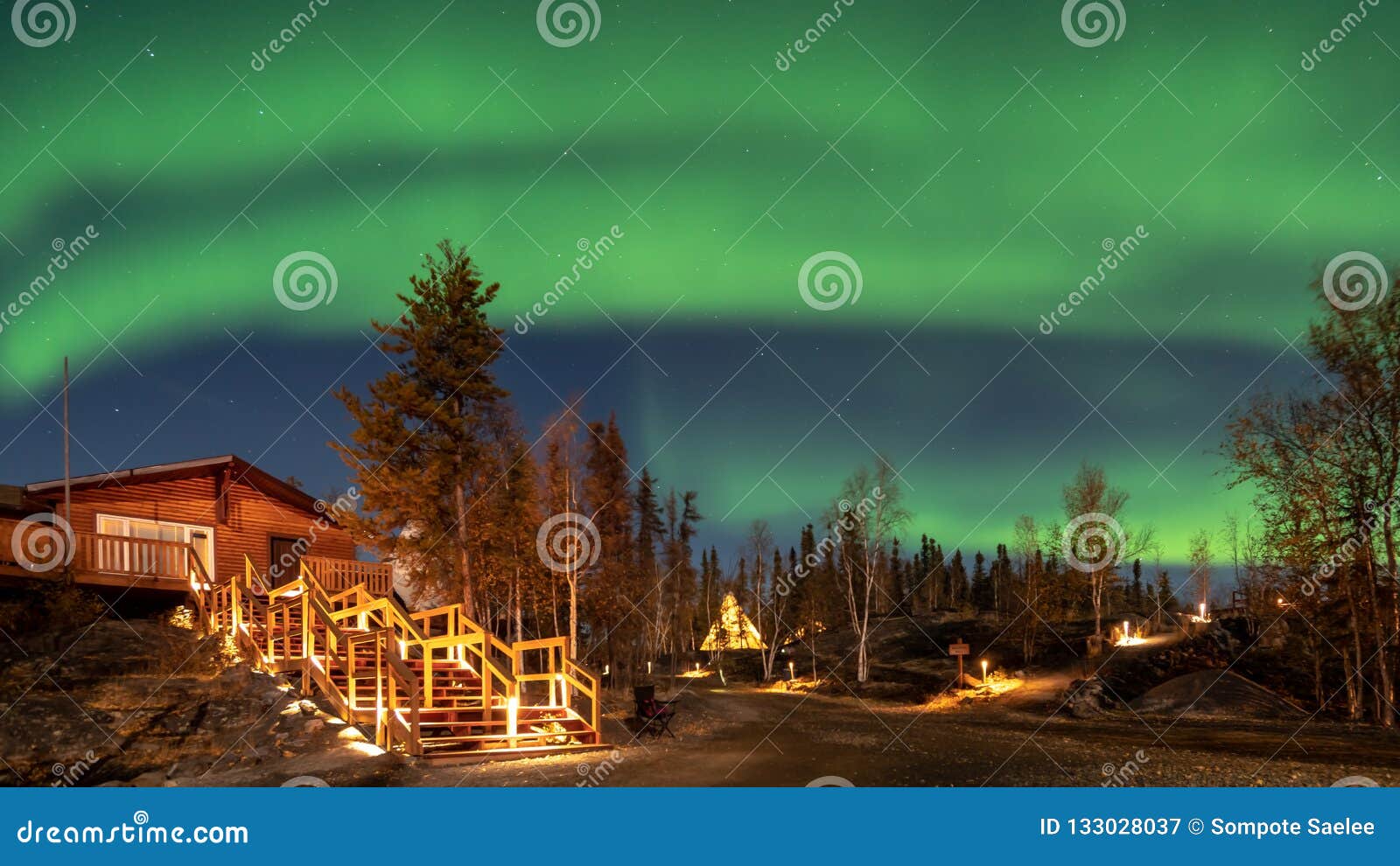 A Log Cabin in Pine Forest Under Aurora Borealis at YellowKnife Stock ...