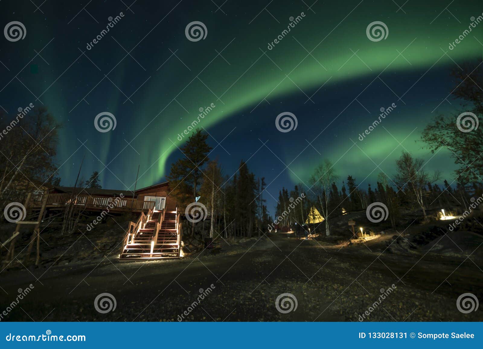 A Log Cabin in Pine Forest Under Aurora Borealis at YellowKnife Stock ...