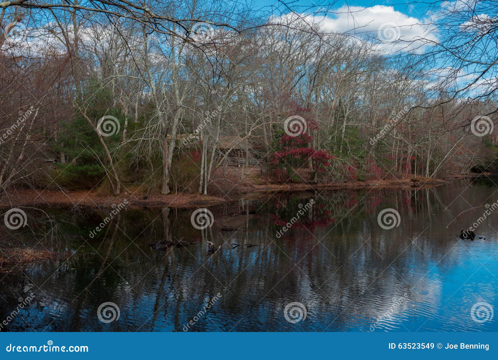 Log Cabin by Pond stock image. Image of wooded, woods - 63523549