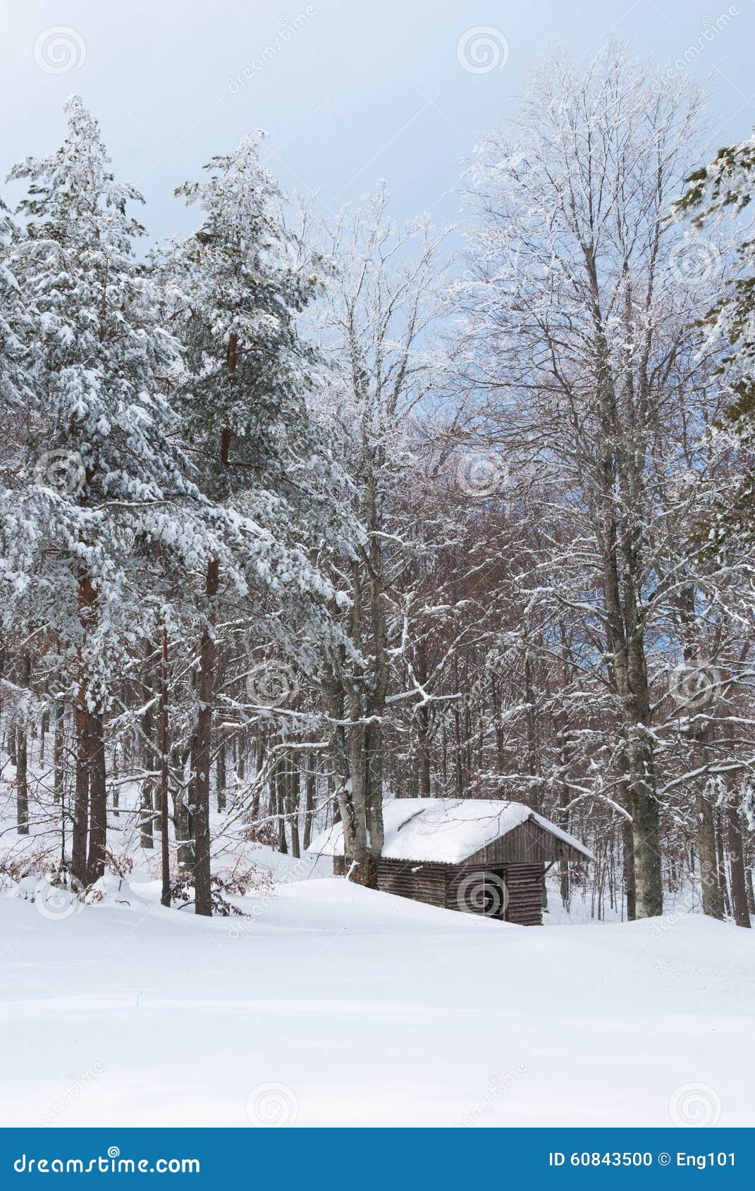 Log Cabin in a Snowy Forest Stock Photo - Image of covered, resort ...