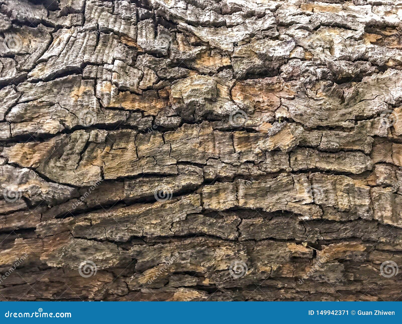 Log camp in forest stock image. Image of aspen, tourist - 149942371