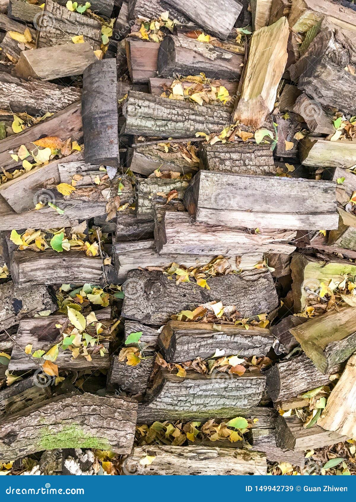 Log camp in forest stock image. Image of felling, bench - 149942739