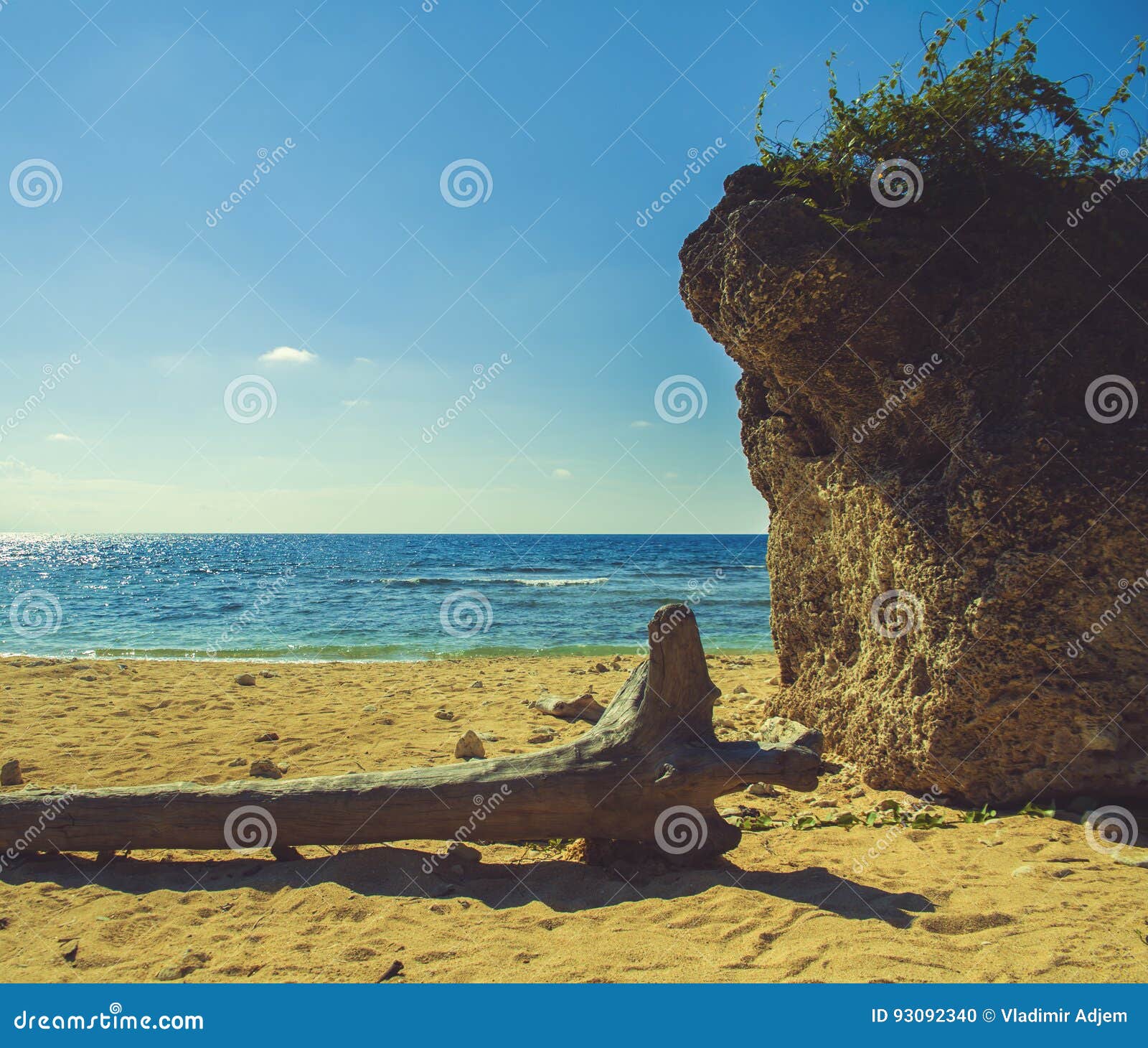 Log, Clift Ocean View stock photo. Image of sand, background - 93092340