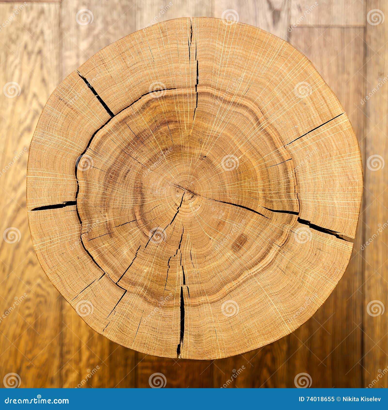Log Core Against a Wooden Floor. Top View. Background, Texture Series ...