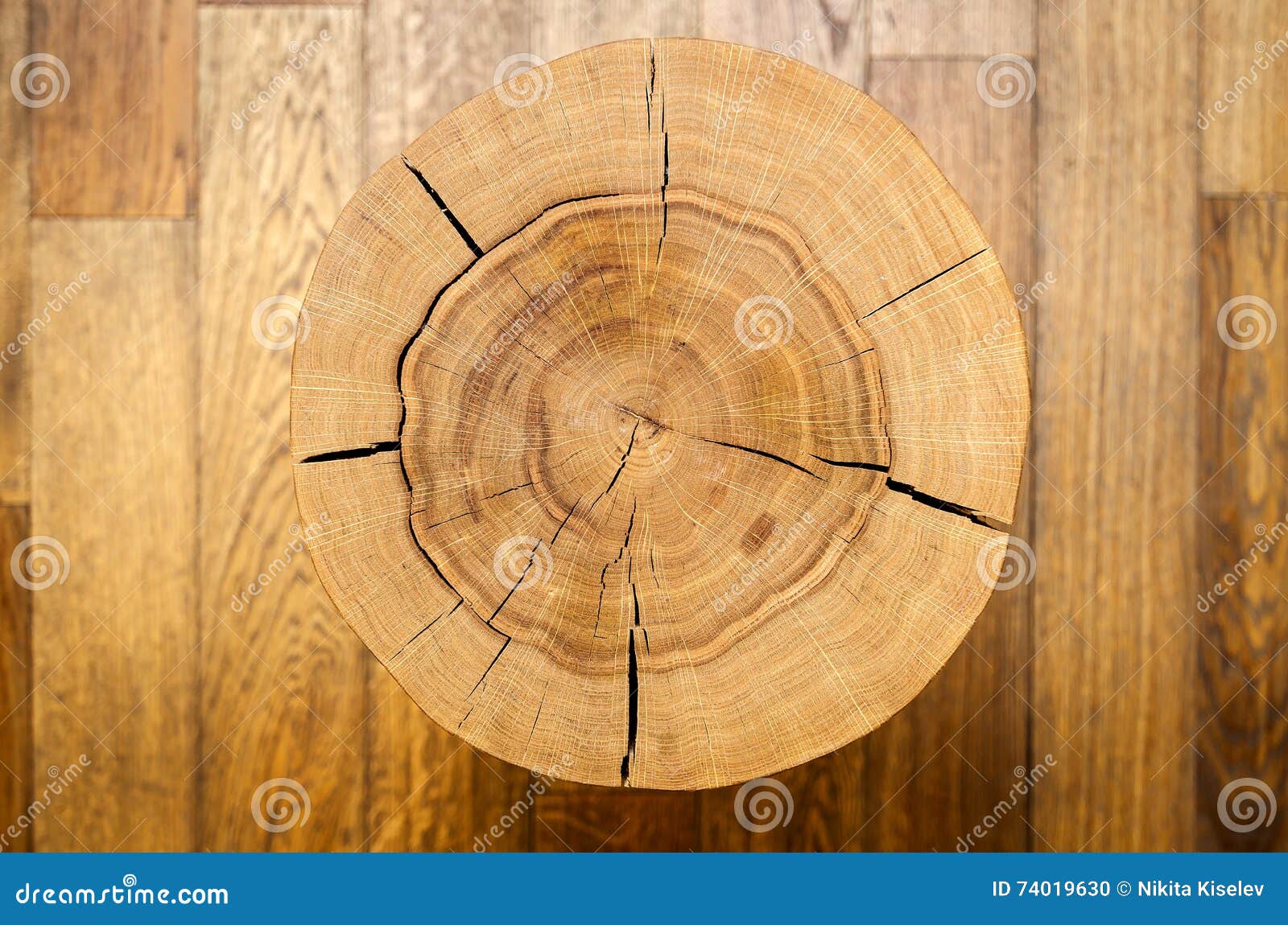Log Core Against a Wooden Floor. Top View. Background, Texture Series ...