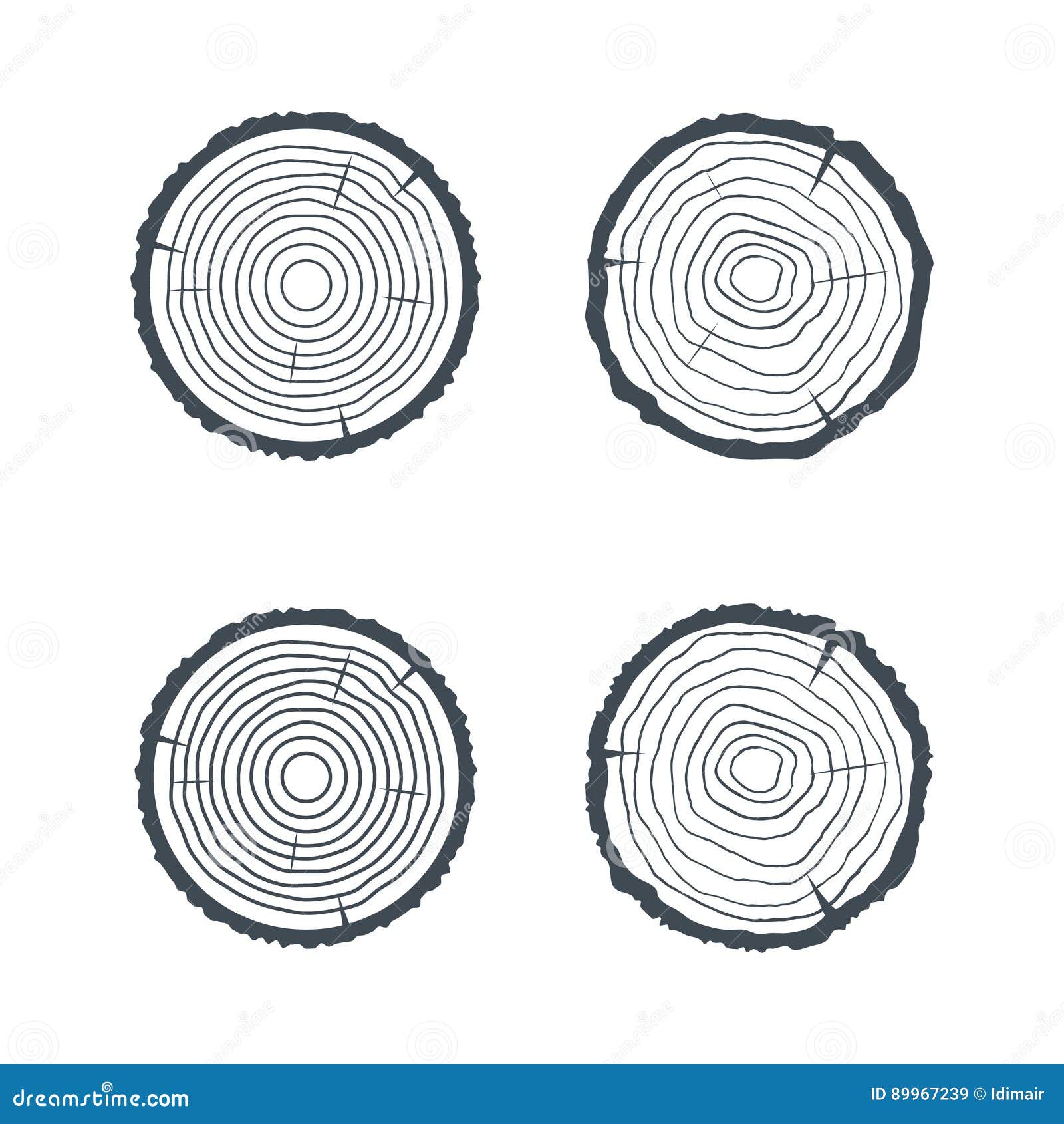 Log Cross Section Four Isolated Illsutrations. Vector Stock Vector ...