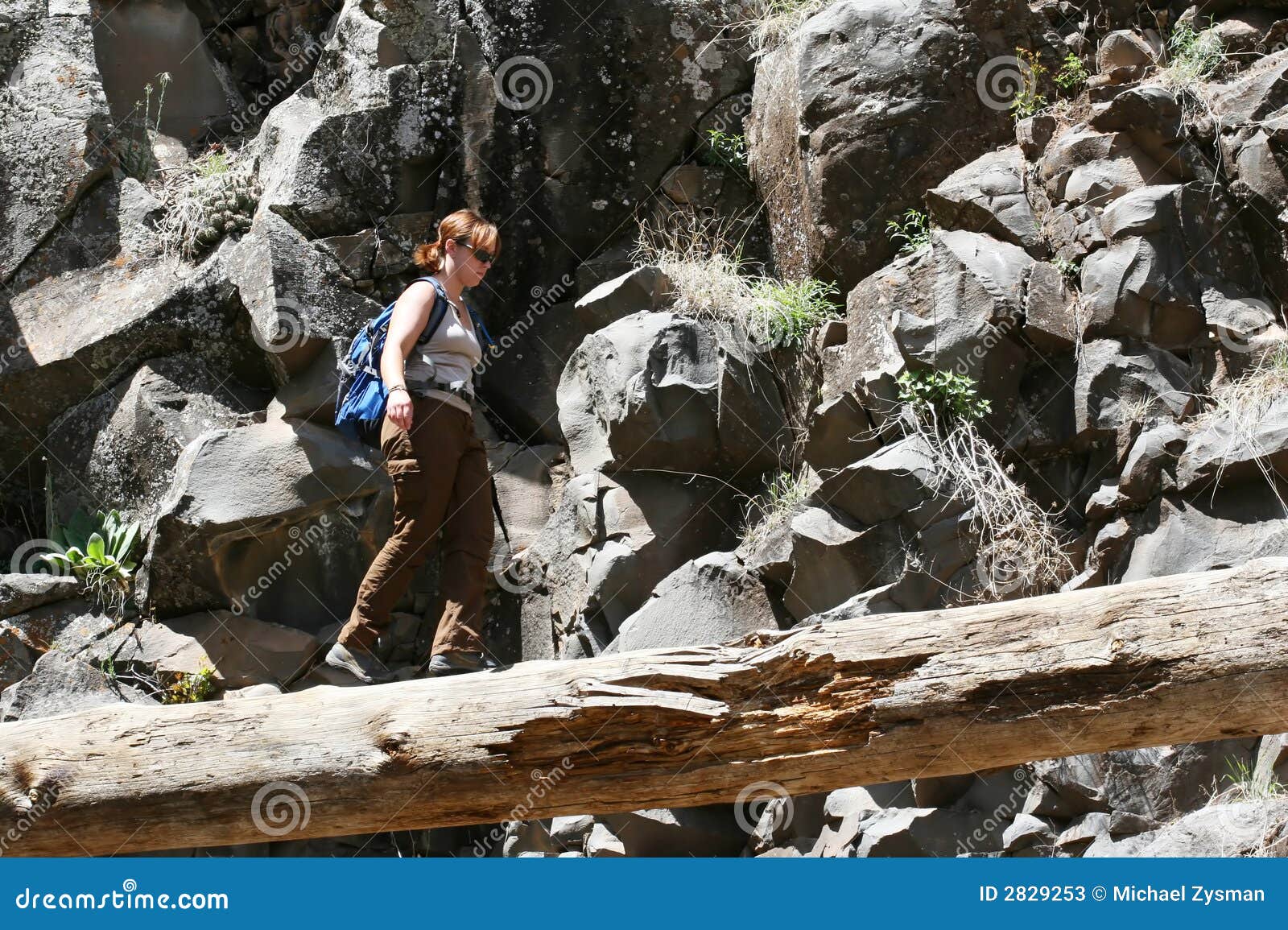 Log Crossing Picture. Image: 2829253