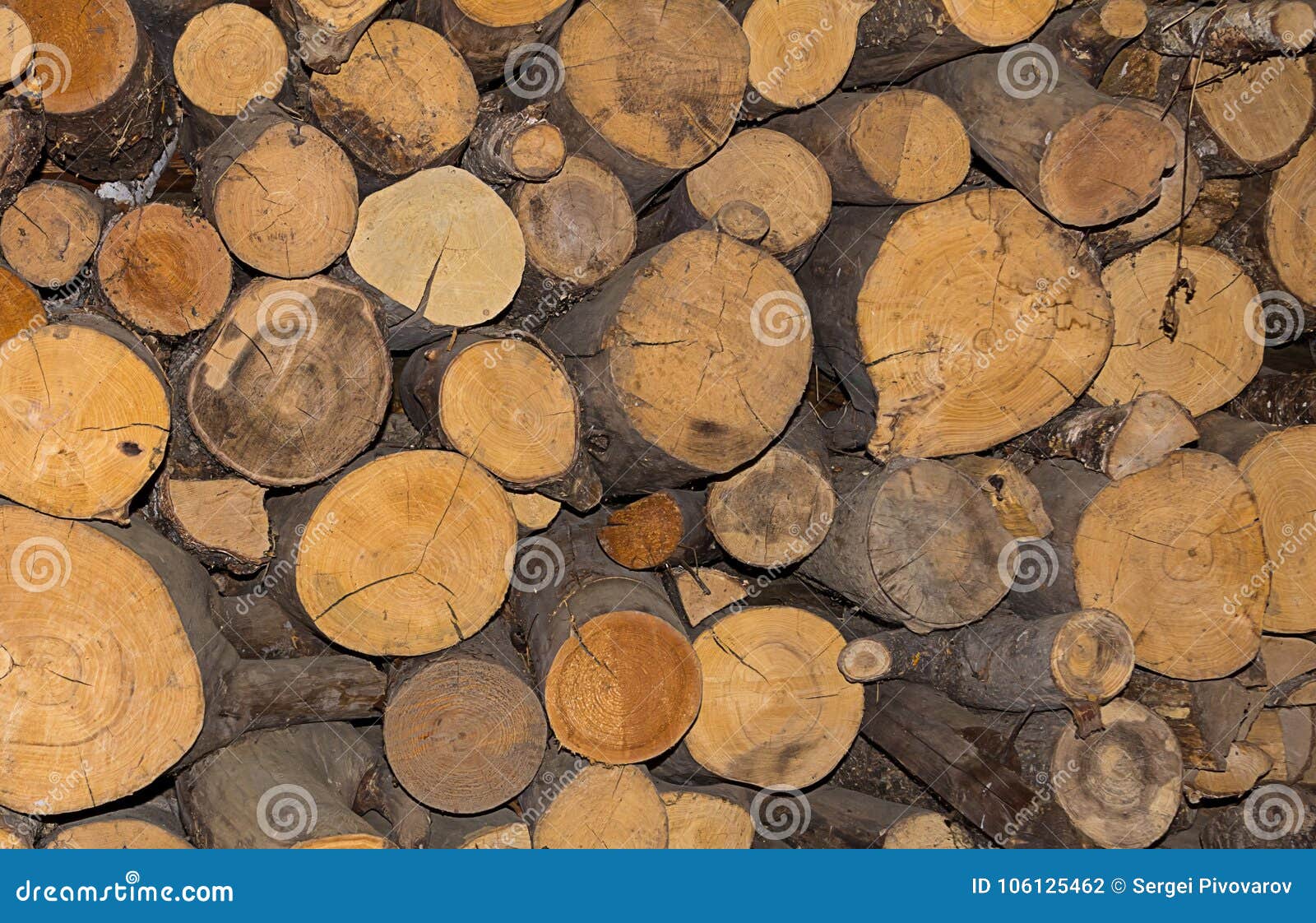 Log Cut Down Abunch Number Trees Close-up Natural Background Stock ...