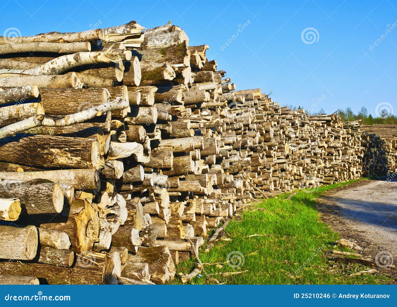 Log deck stock photo. Image of destruction, demolition - 25210246
