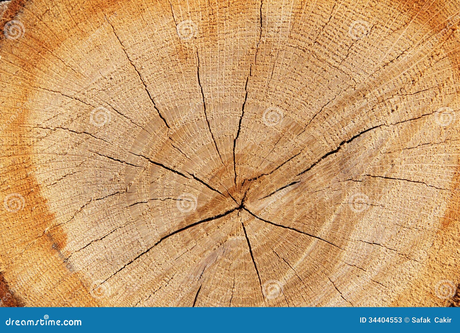 Log stock image. Image of exotic, door, background, hardwood - 34404553