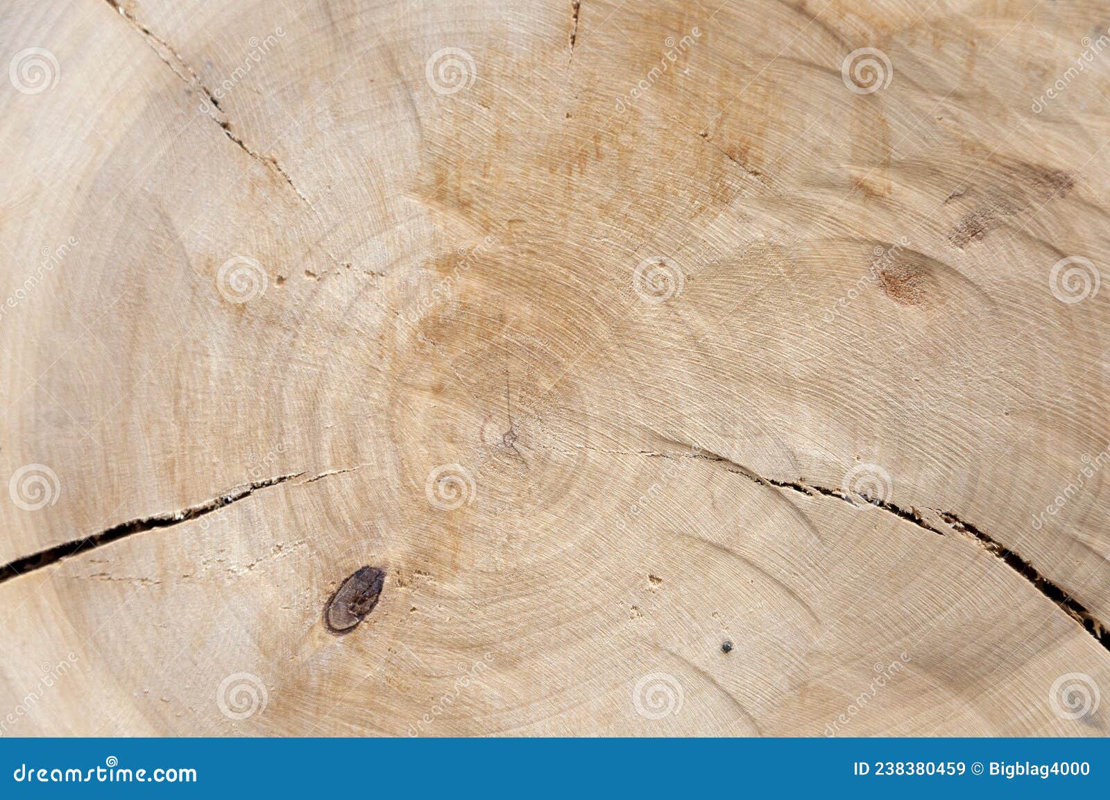 Log End Texture.Wooden Surface Backdrop. Stock Image - Image of surface ...