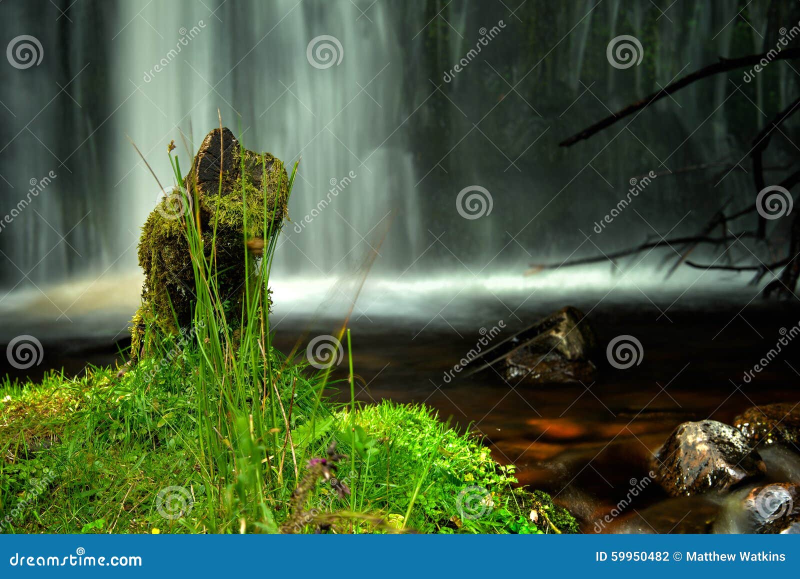 Log Fall stock photo. Image of nature, rocks, branch - 59950482
