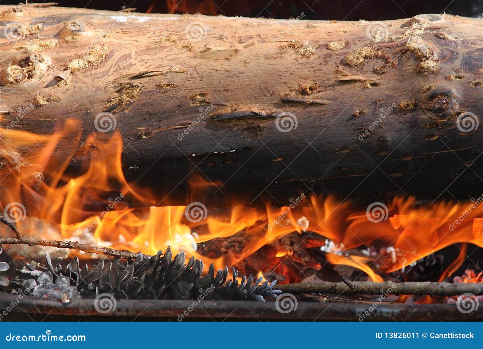 Log Fire stock image. Image of energy, burn, inferno - 13826011