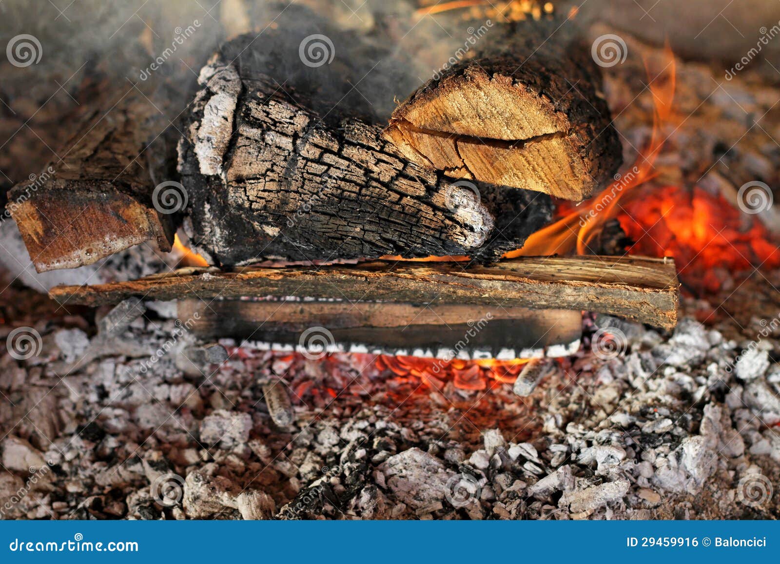 Log fire stock photo. Image of flames, fireplace, wood - 29459916