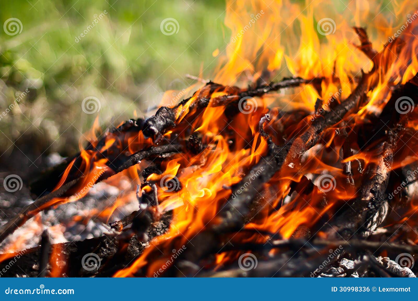 A log in the fire stock photo. Image of celebrations - 30998336