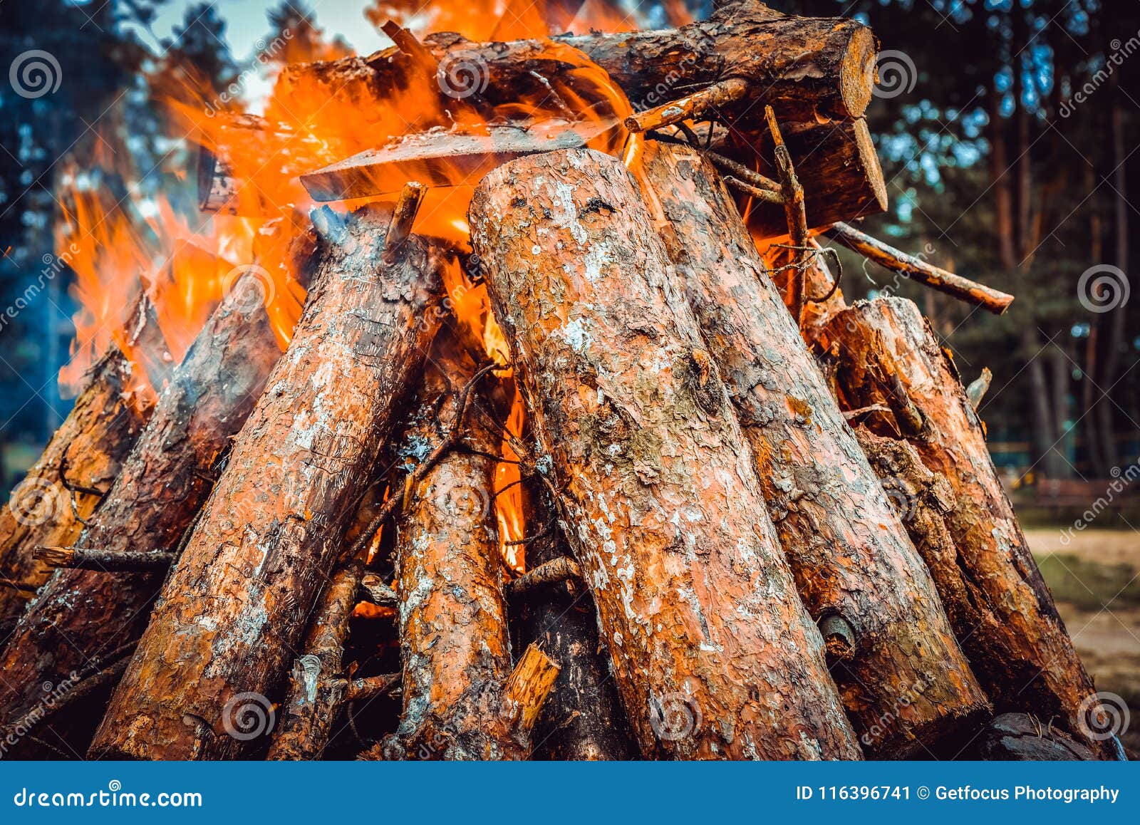 Log on the Fire stock image. Image of large, detail - 116396741