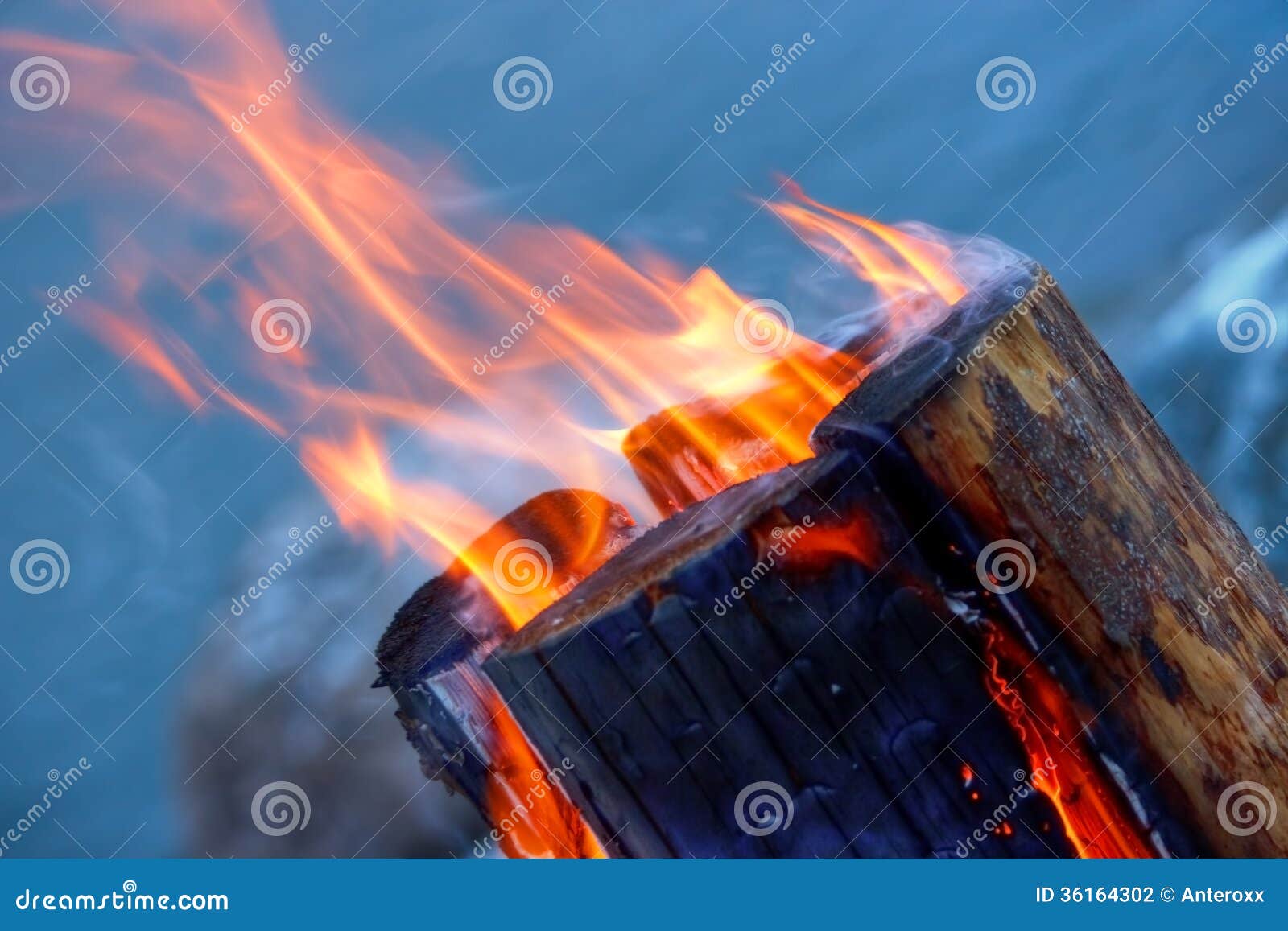 Log in fire stock photo. Image of flame, natural, closeup - 36164302